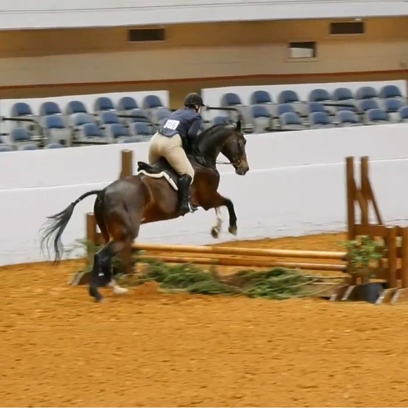 Fuller Fillies | Pants & Jumpsuits | Euc Fuller Fillies Plus Size Full ...